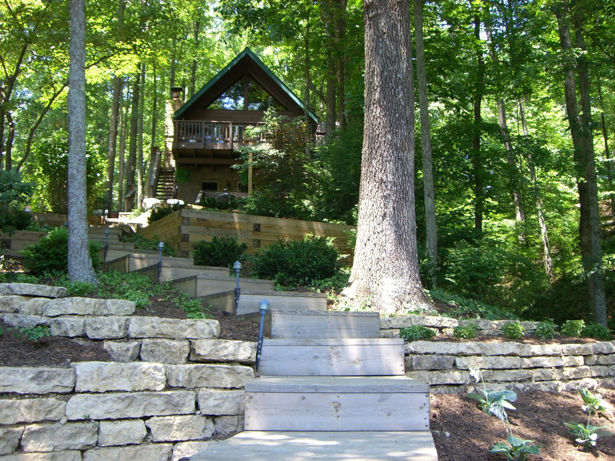 A Beginner’s Guide to Transforming Your Yard in Indianapolis- Lemcke ...